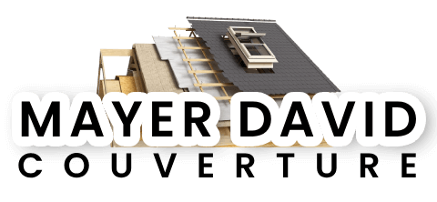 Mayer David