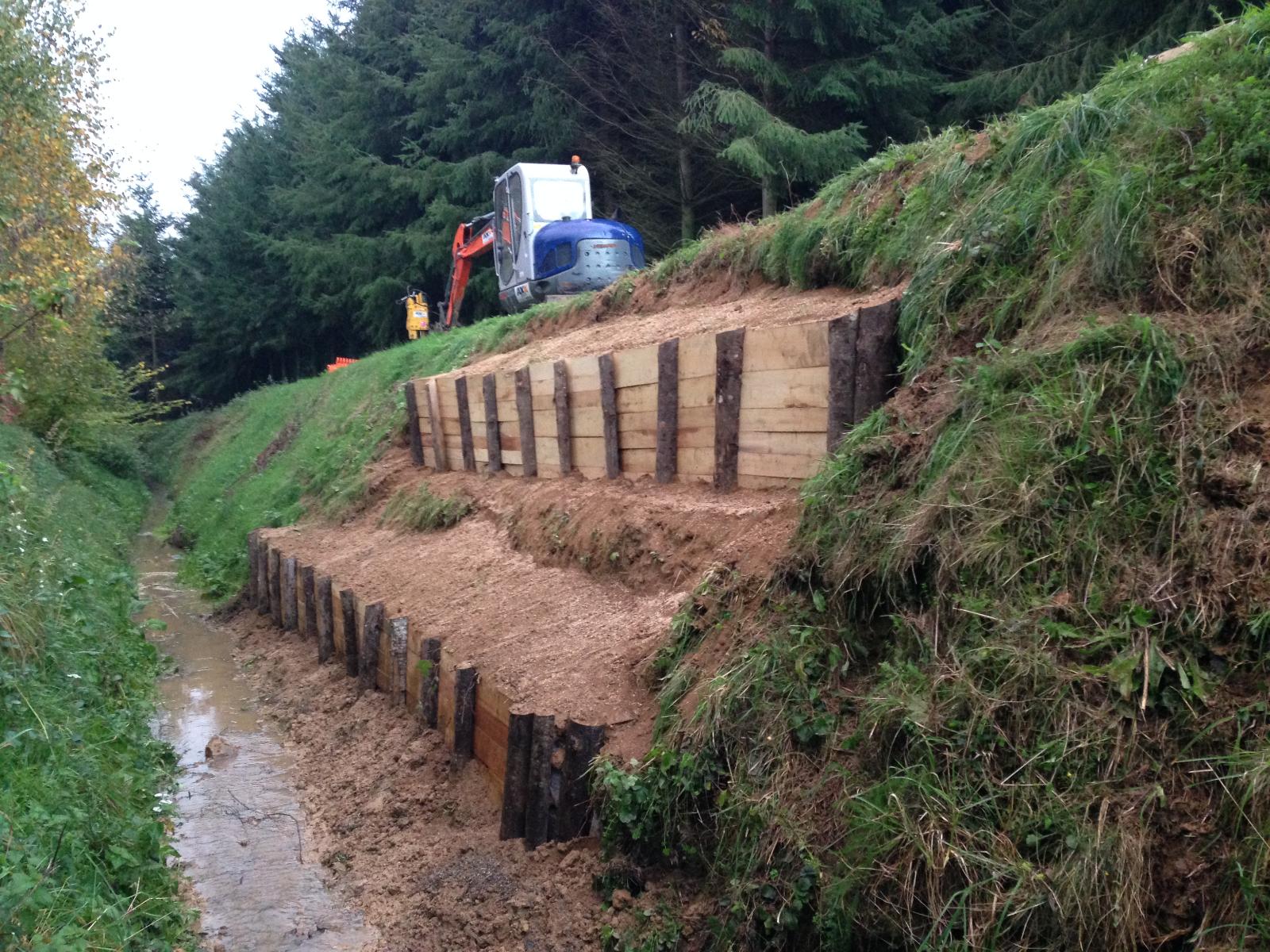 Aménagement de berges et entretien de végétaux de rivière - Sarthe