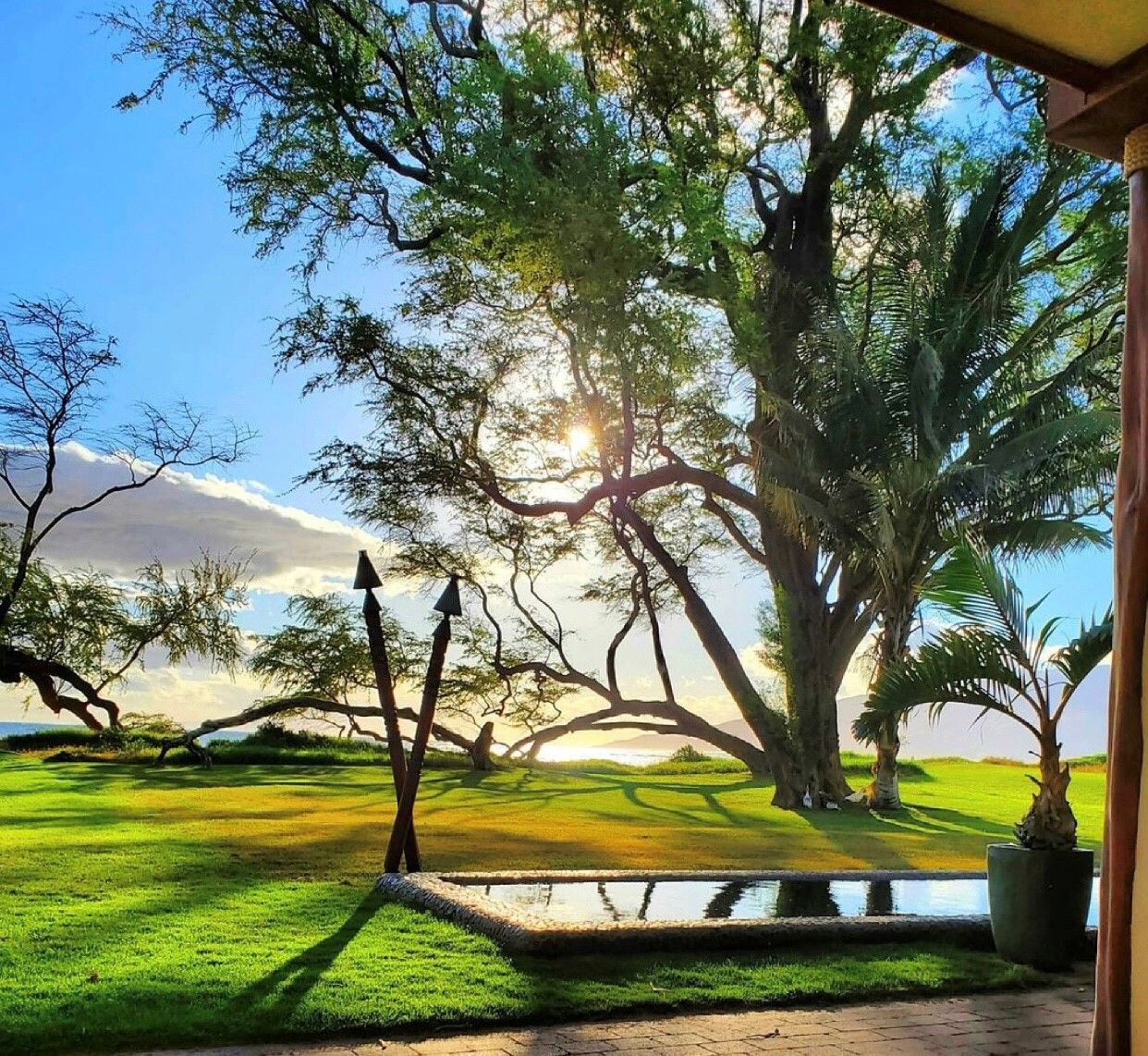 Home [www.alohaaku.com]