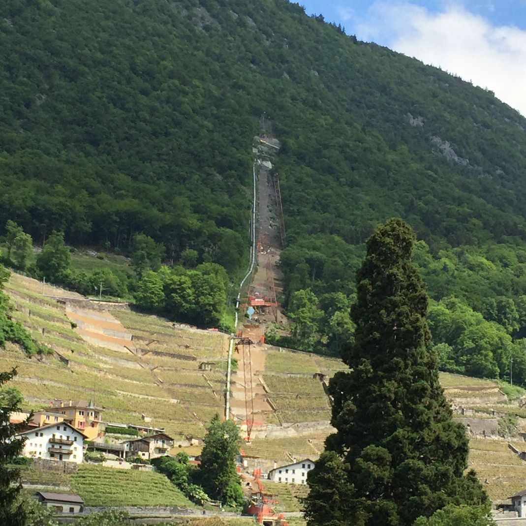 Des conseils sur les énergies renouvelables? Contactez Ecoscan SA!