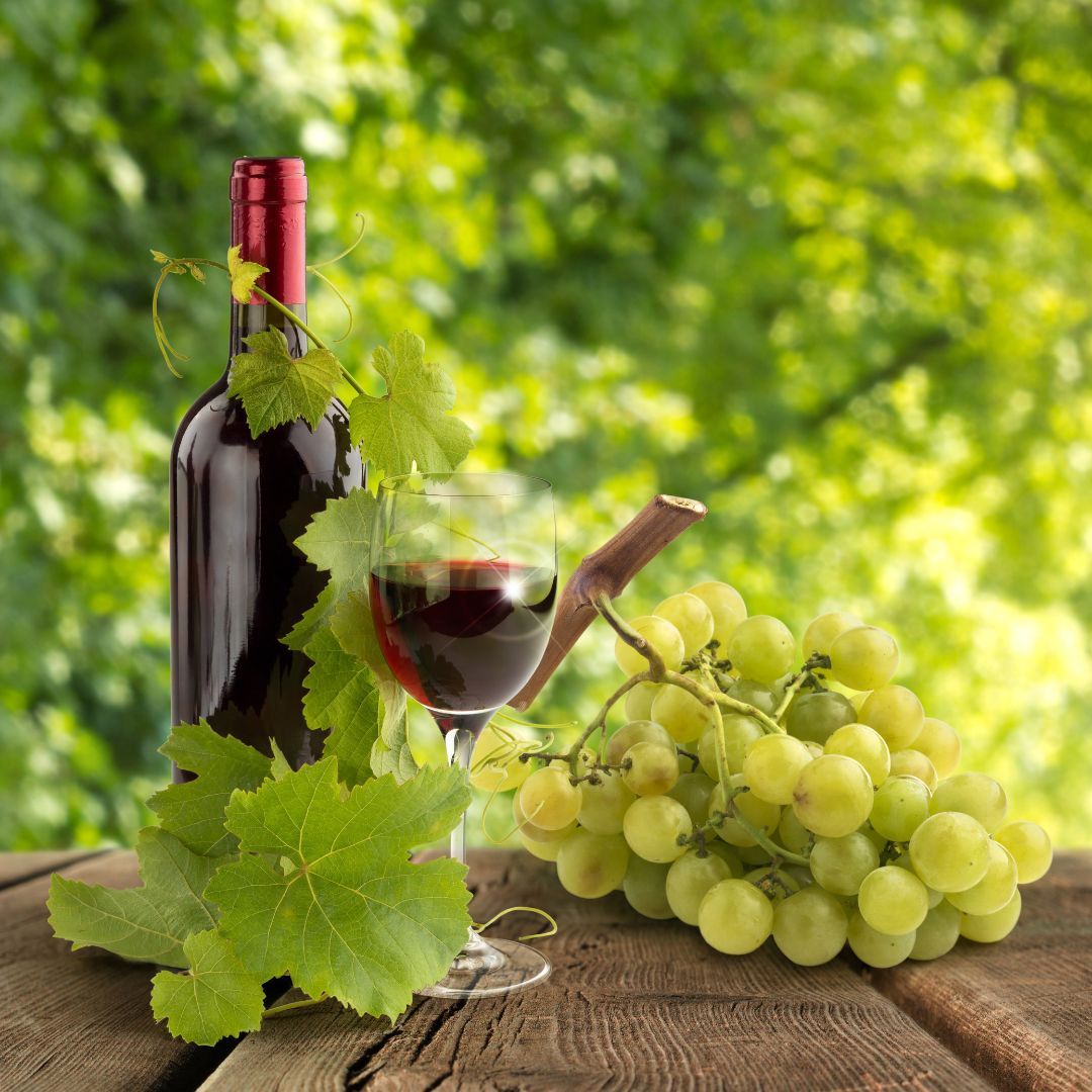 Vins Fran ais La Cave Jules Vins De Bourgogne vins-fran-ais-la-cave-jules-vins-de-bourgogne
