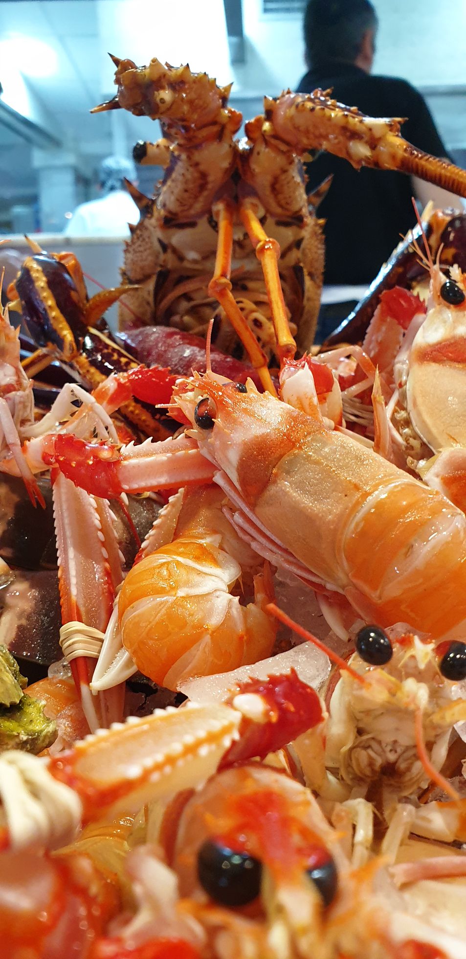 Galeria | Restaurante Mar do Inferno | Cascais