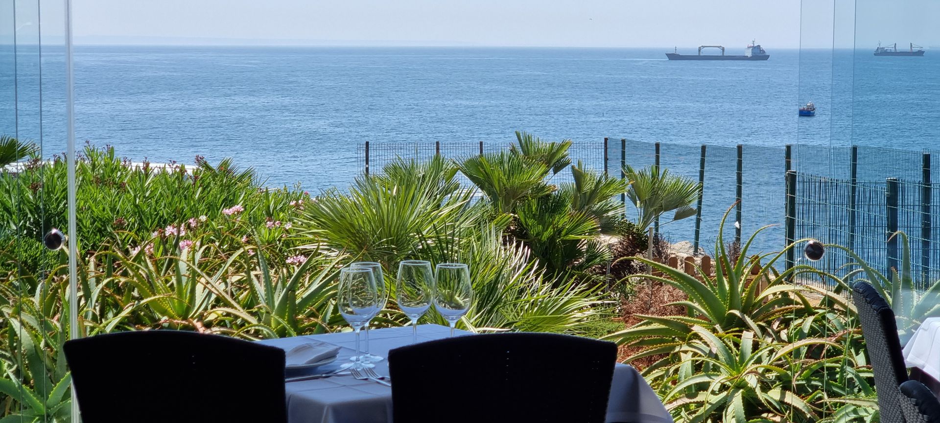 Gallery – Shellfish in Cascais | Mar do Inferno