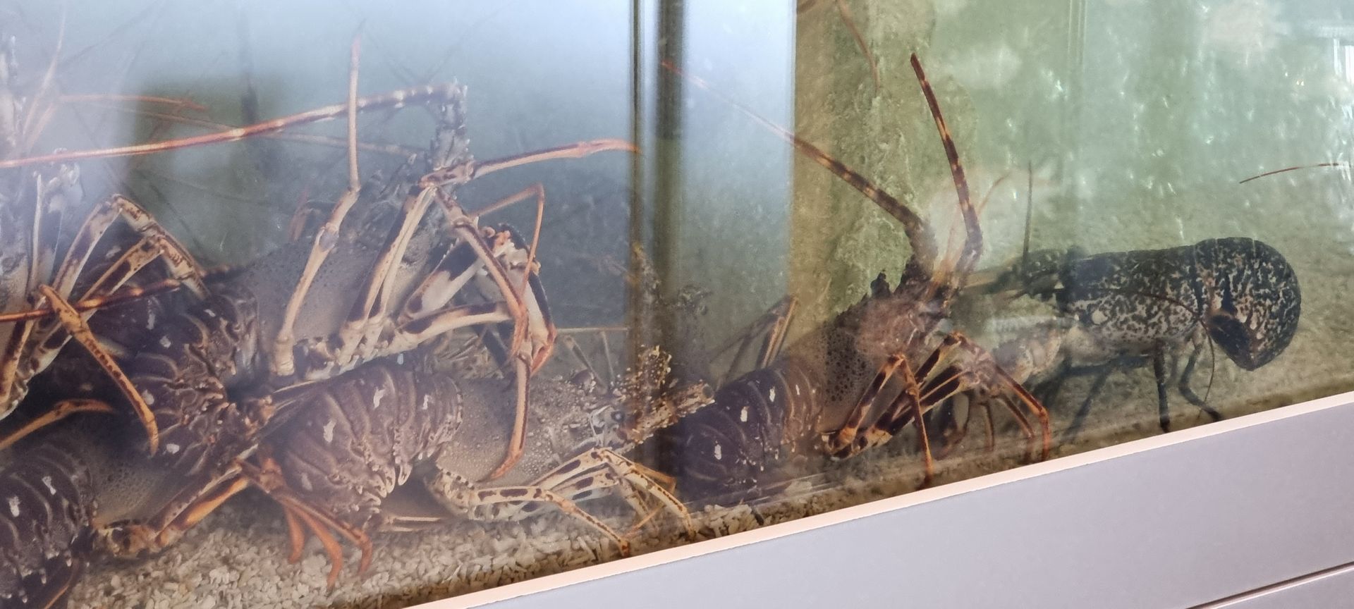 Galeria | Restaurante Mar do Inferno | Cascais