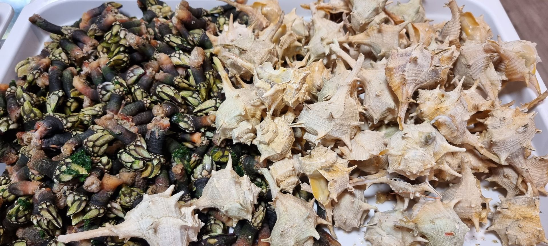 Galeria | Restaurante Mar do Inferno | Cascais