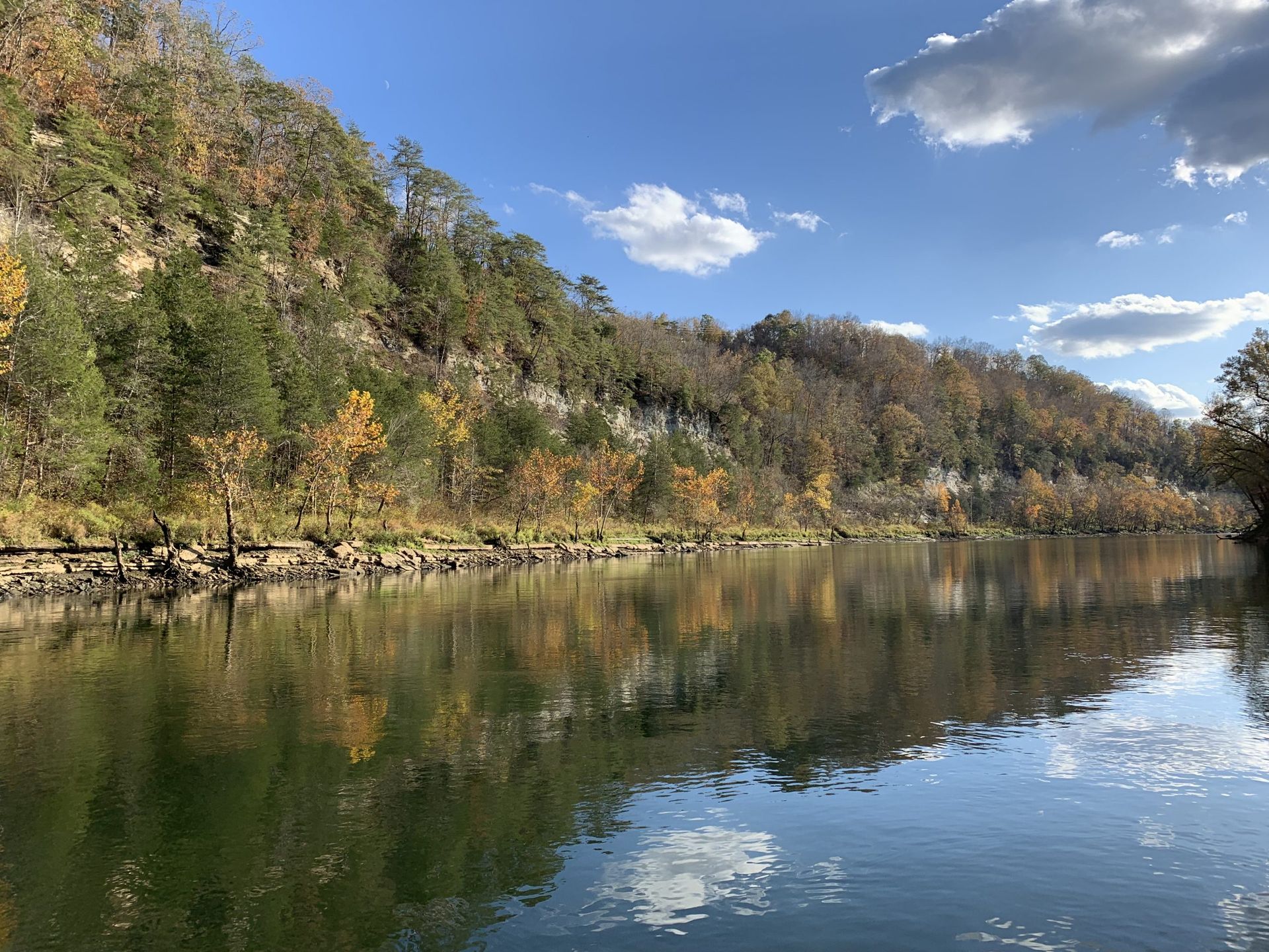 Fishing Near Nashville, TN: Top 10 Places to Cast Your Line 🎣