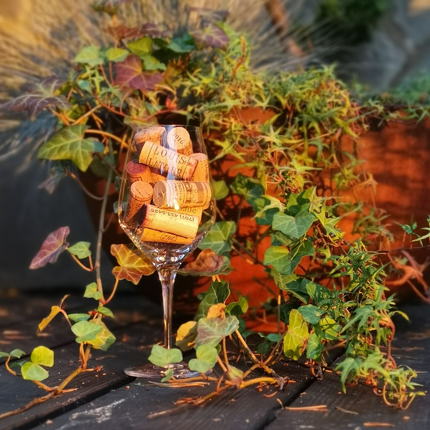 Tapahtumat | Ravintola Metsätähti