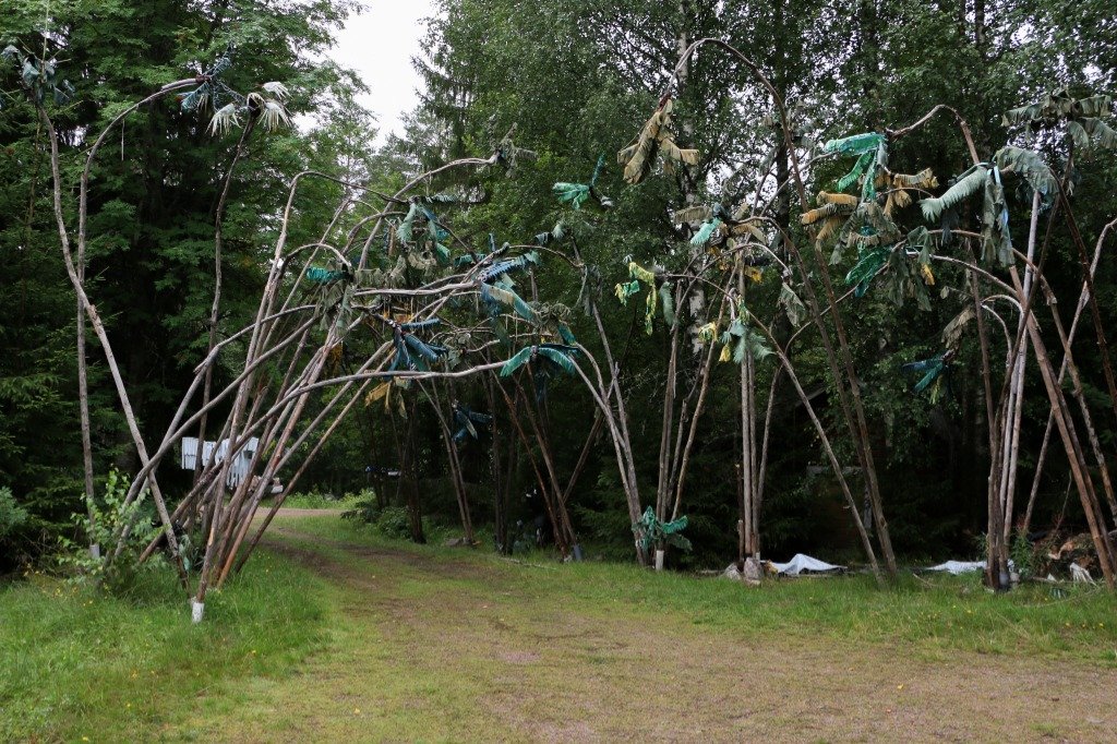 Alpon savanni | Aktiviteetit | Nummijärvi Camping