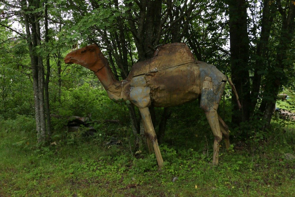 Alpon savanni | Aktiviteetit | Nummijärvi Camping