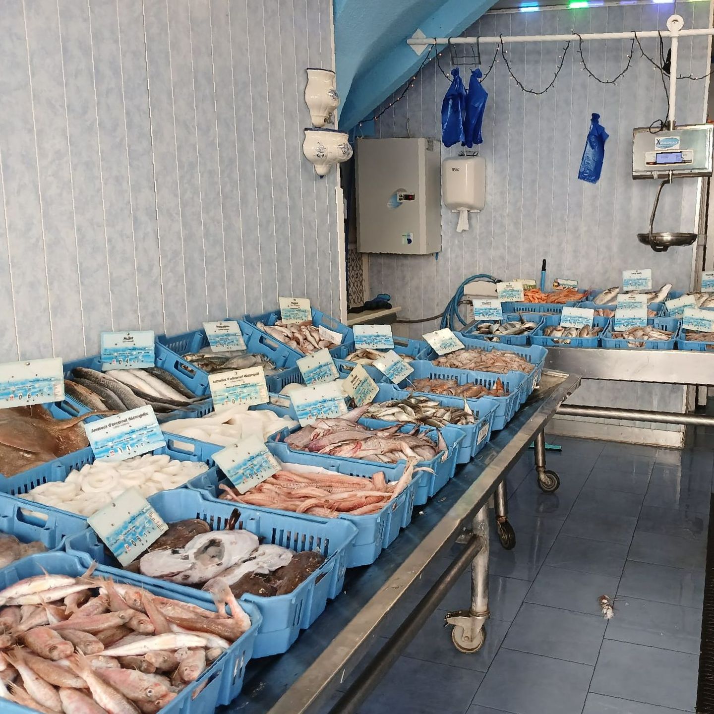 L’Odyssée de la Méditerranée – Poissonnerie-restaurant à Béziers