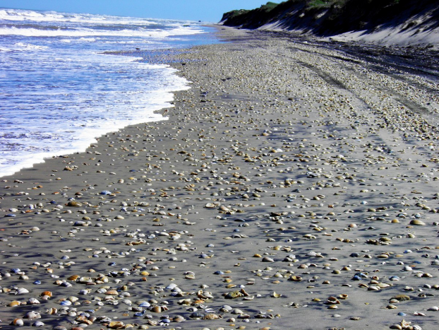 Top 10 Best Beaches in South Padre Island, TX