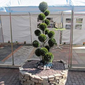 Garten- und Landschaftsbau Waltrop Jochem Becker - Galerie