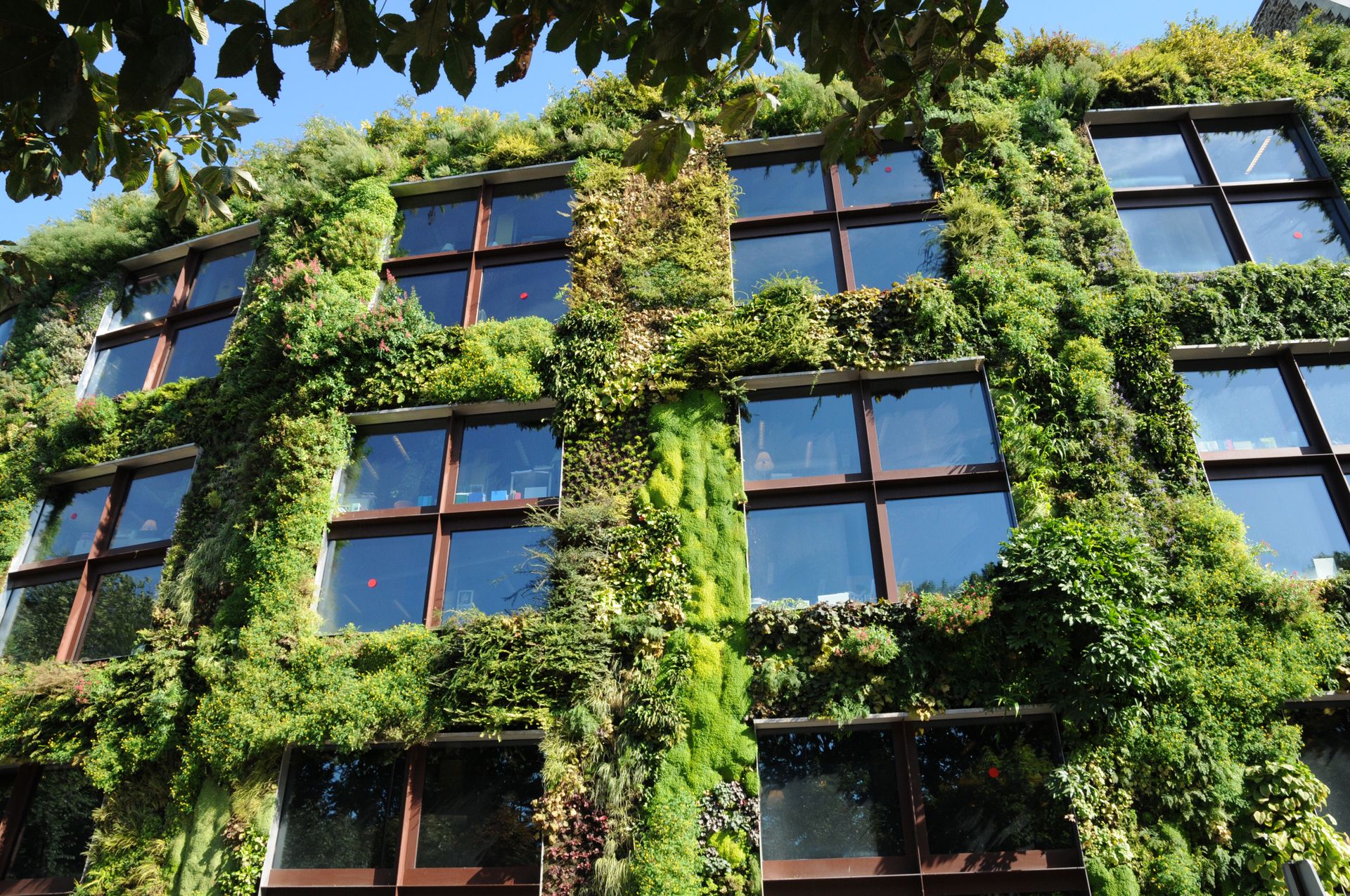 Création de mur végétalisé et jardin suspendu à Colombes