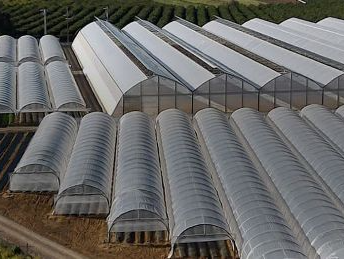 Vente de serre tunnel à Rouen et de serres chapelles