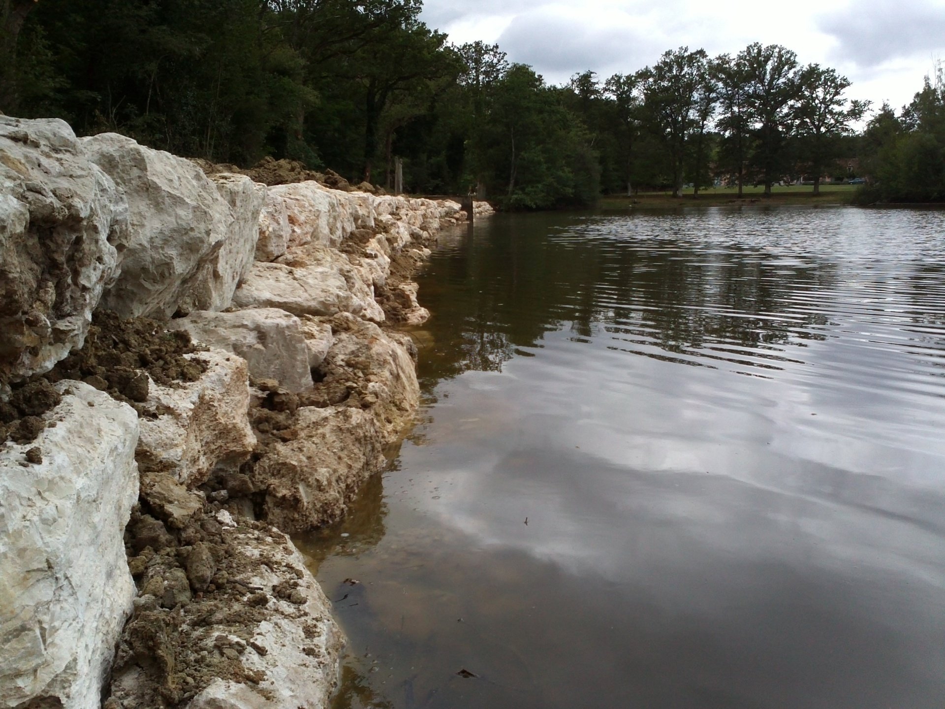 Aménagement de berges d'étangs et renforcement à Lailly-en-Val