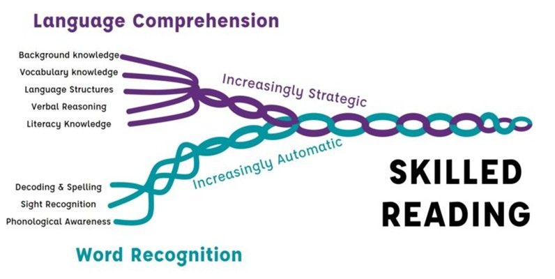 What Is Scarborough's Reading Rope? | Reading Model Explained