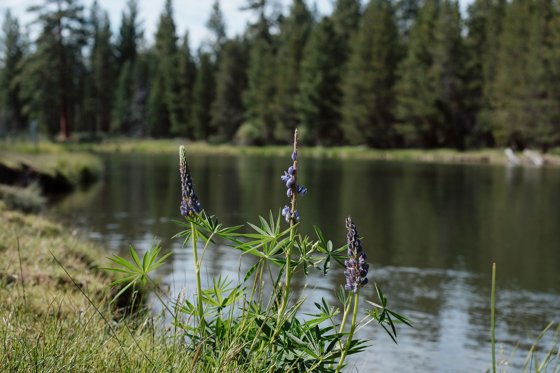 Top Things To Do In Central Oregon | A Local's Guide