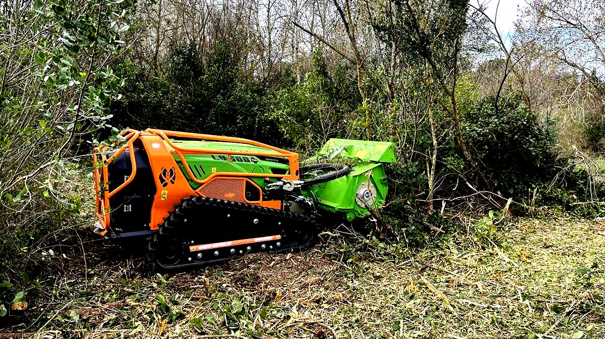 Acrocimes Élagage - Arboristes-grimpeurs pour l'entretien d'arbres
