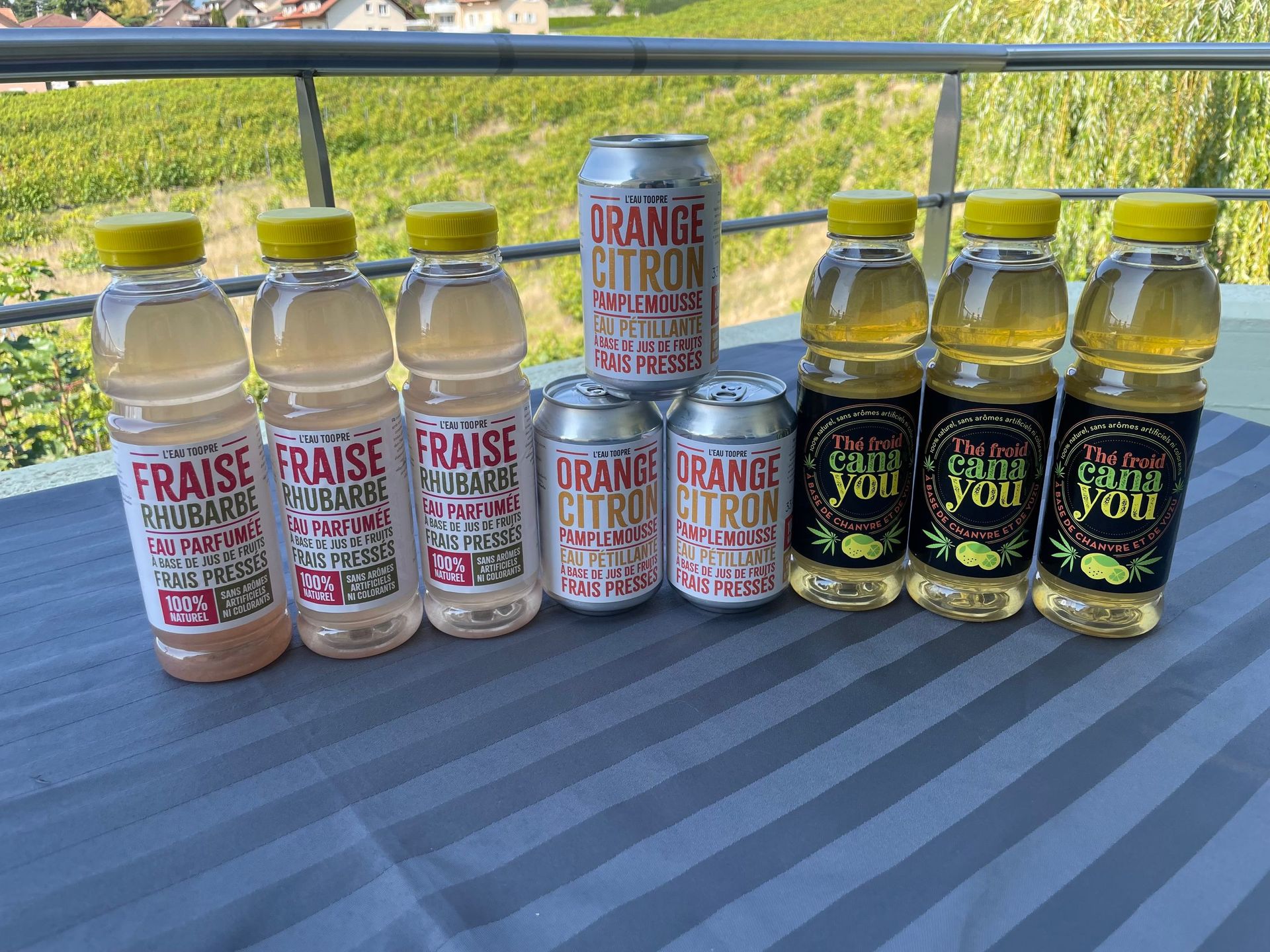 Accueil du site de Seb Eau à Saint-Prex