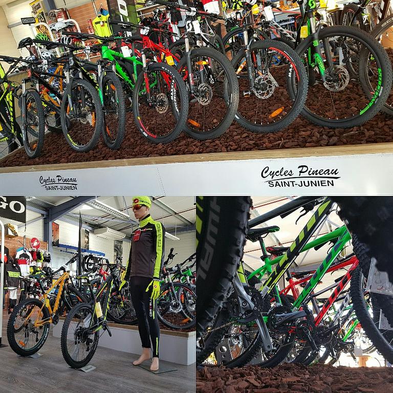 Cycles Pineau - Tout l'équipement du cycliste à Saint-Junien