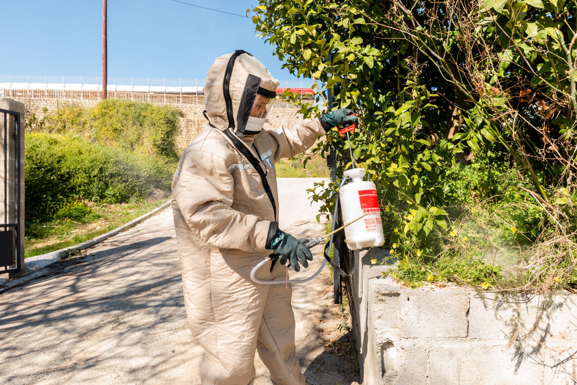 Traitement anti-nuisibles à Ajaccio - Intervention 3D