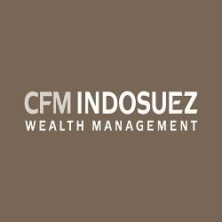 Home [cfmindosuezwealthmanagement.site-solocal.com]