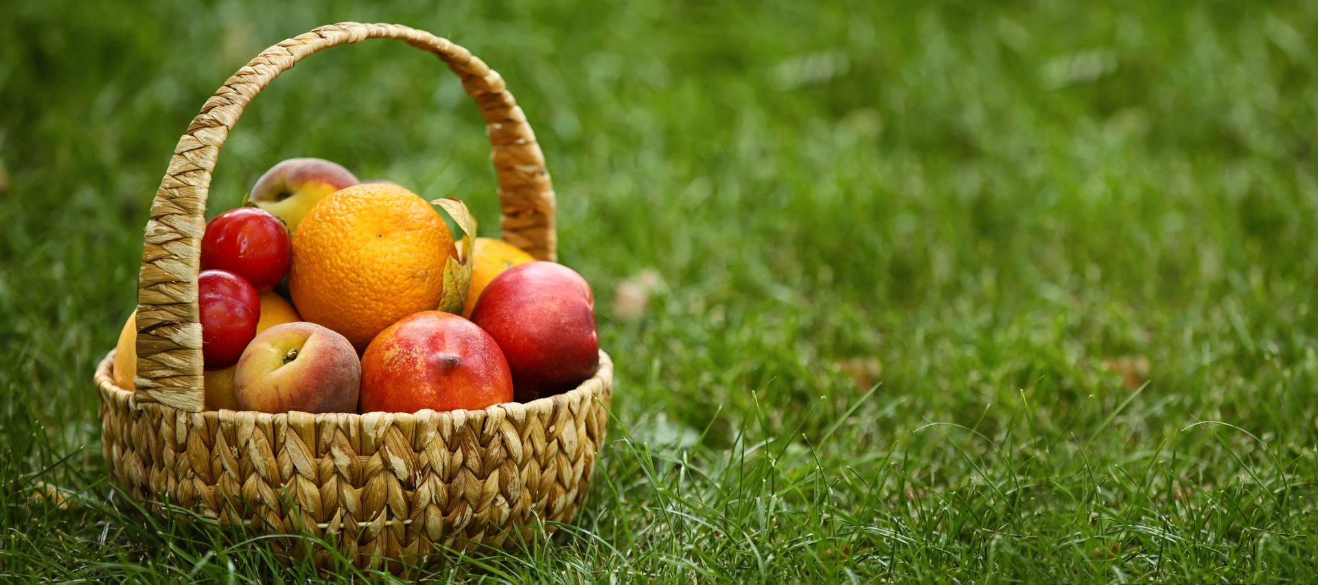 Corbeille de fruits et plateau de fromages autour de Dreux