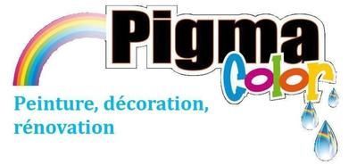 Pigma Color