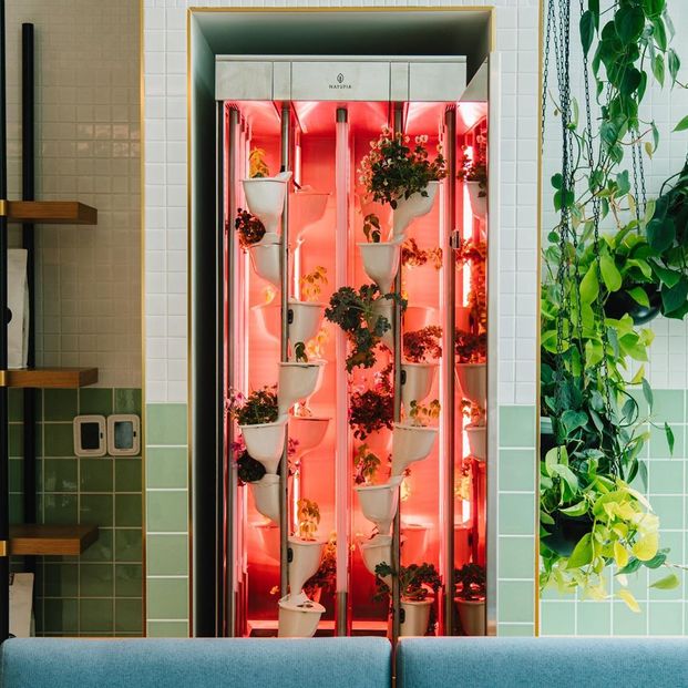 Twenty One 06 | Designs Concepts