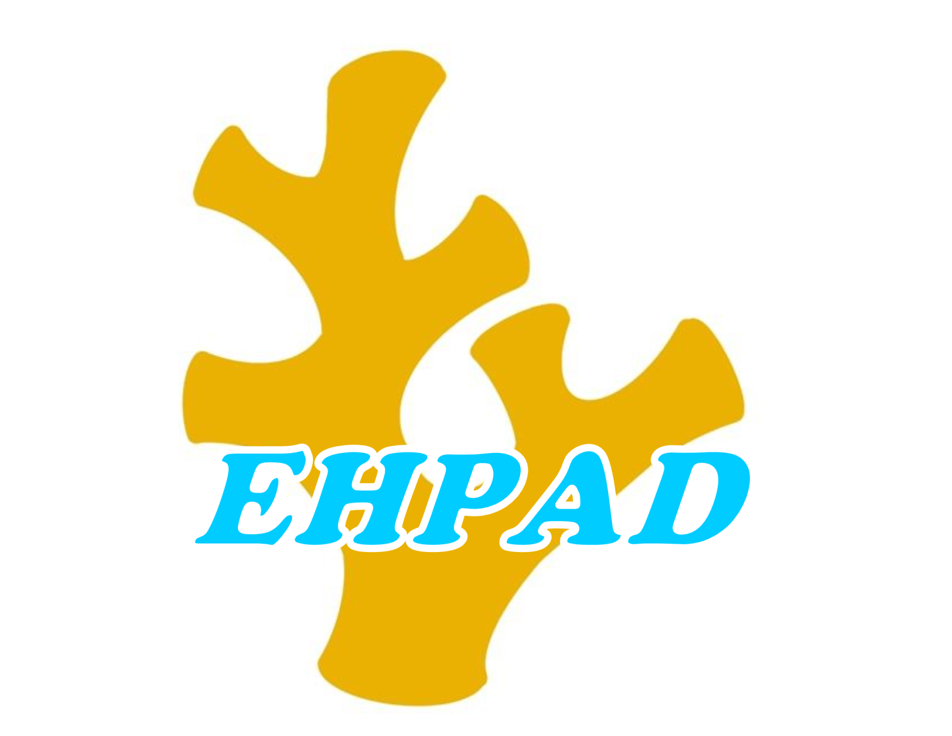 Fonctionnement de la maison de retraite EHPAD aux Anses-d'Arlet