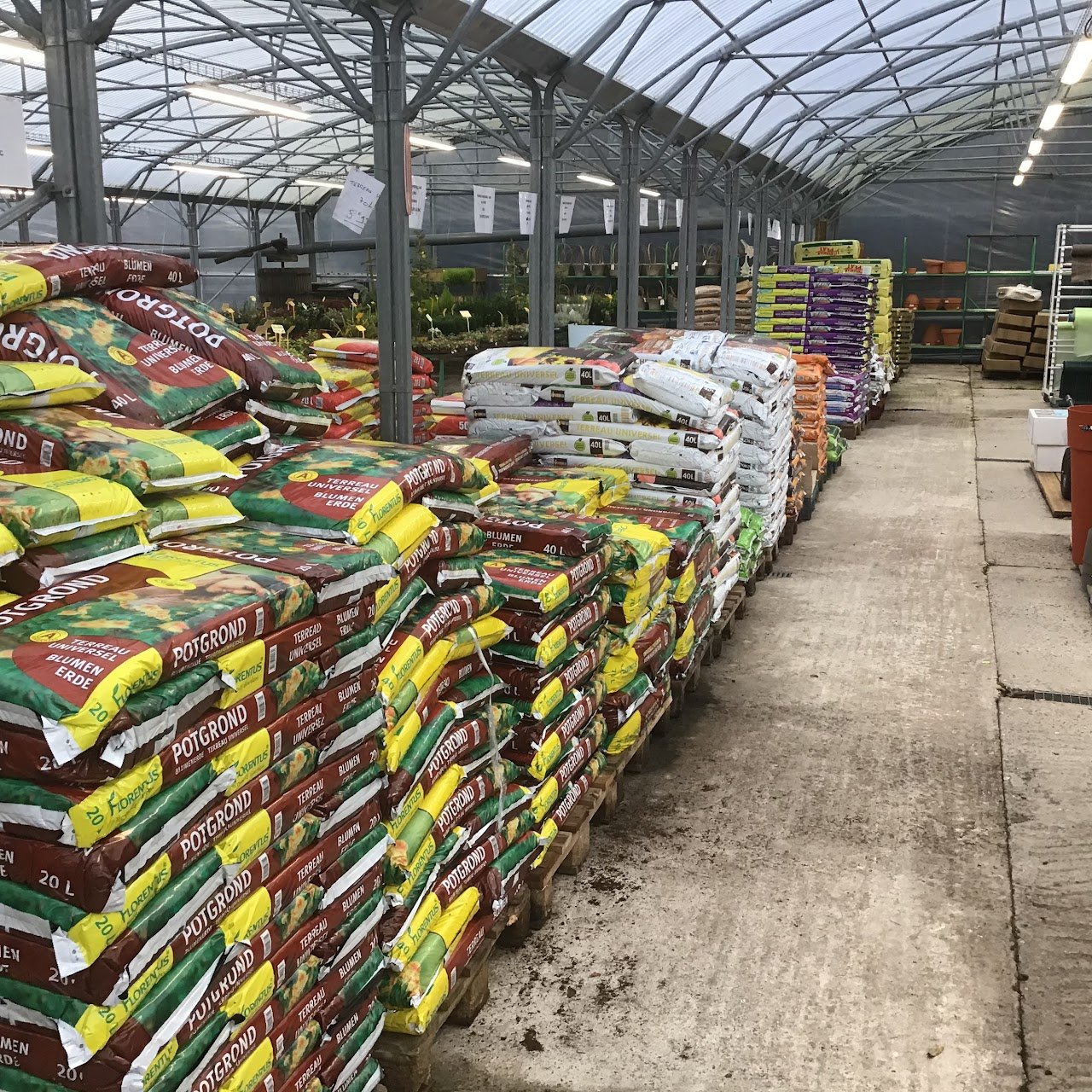 Plants et graines pour enrichir votre potager à Abbeville