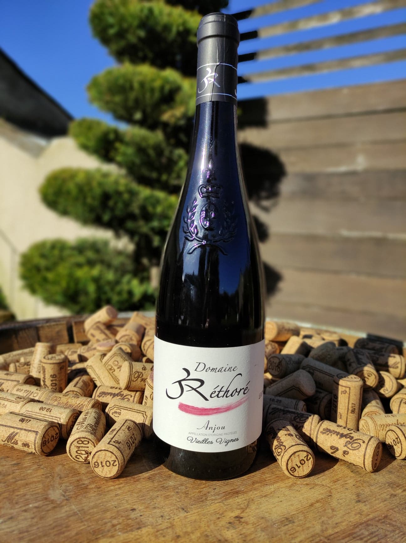 Domaine Réthoré : producteur de vin à Saint-Aubin-de-Luigné