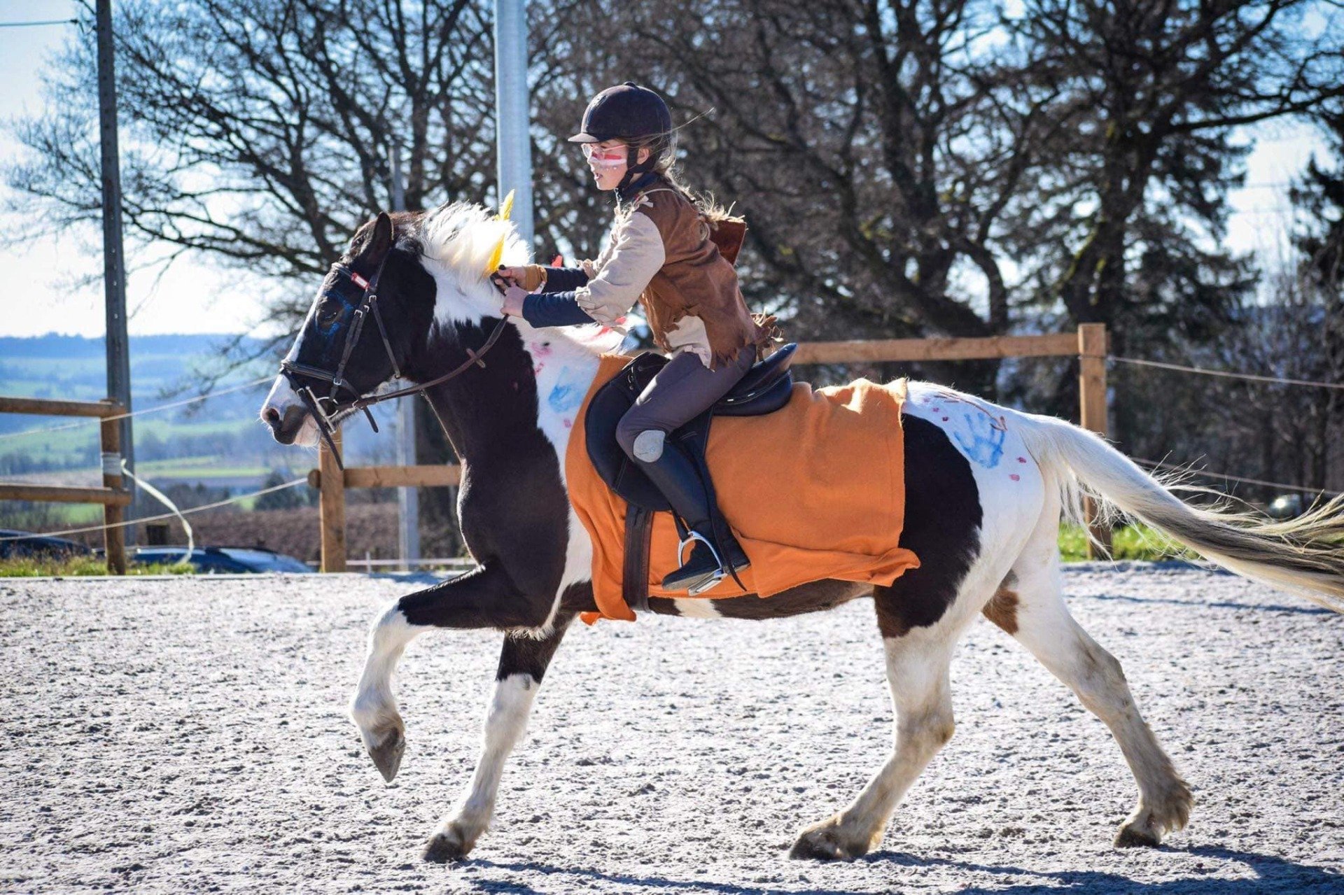 Centre équestre à Theux proche de Liège | Jonckeu Equestrian