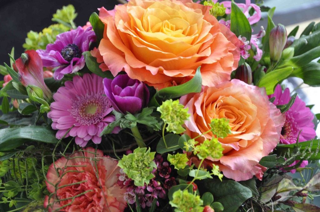 Gärtnerei Forster AG: Blumen & Gemüse aus Wünnewil