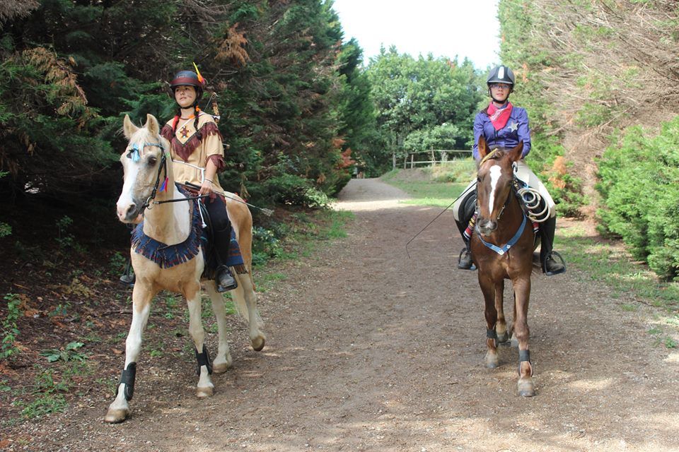 Découvrez les activités du centre équestre, en images à Pézenas