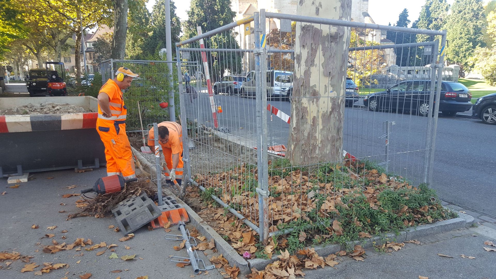 Partnerschaften - Löw Baumpflege Itingen