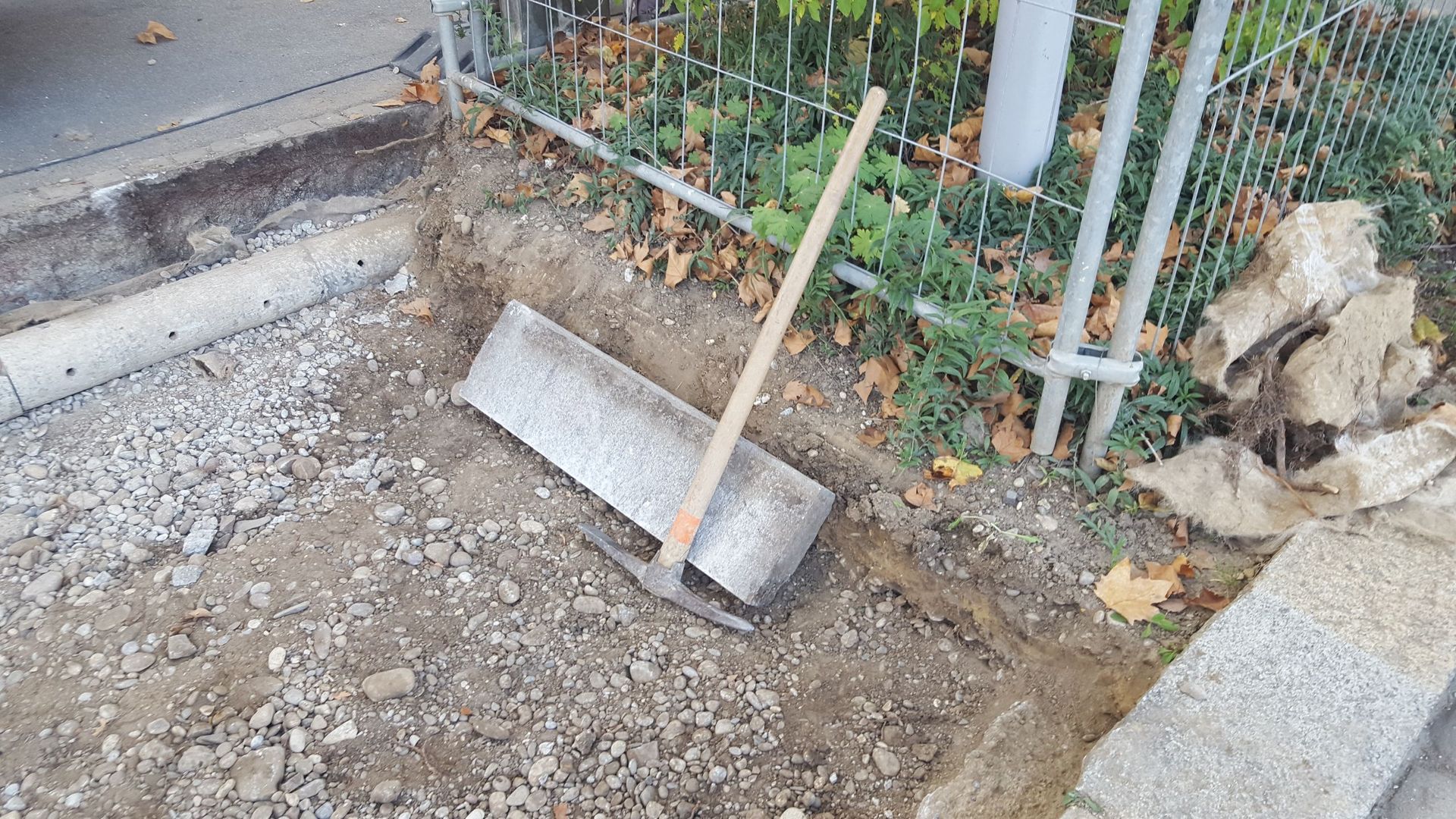 Partnerschaften - Löw Baumpflege Itingen