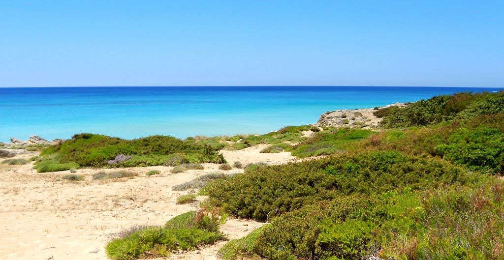 Salento ville appartamenti