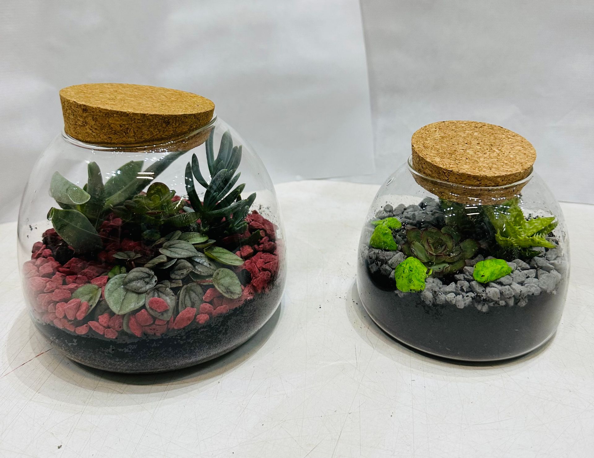 Vente de roses éternelles à la boutique de Boulogne-Billancourt