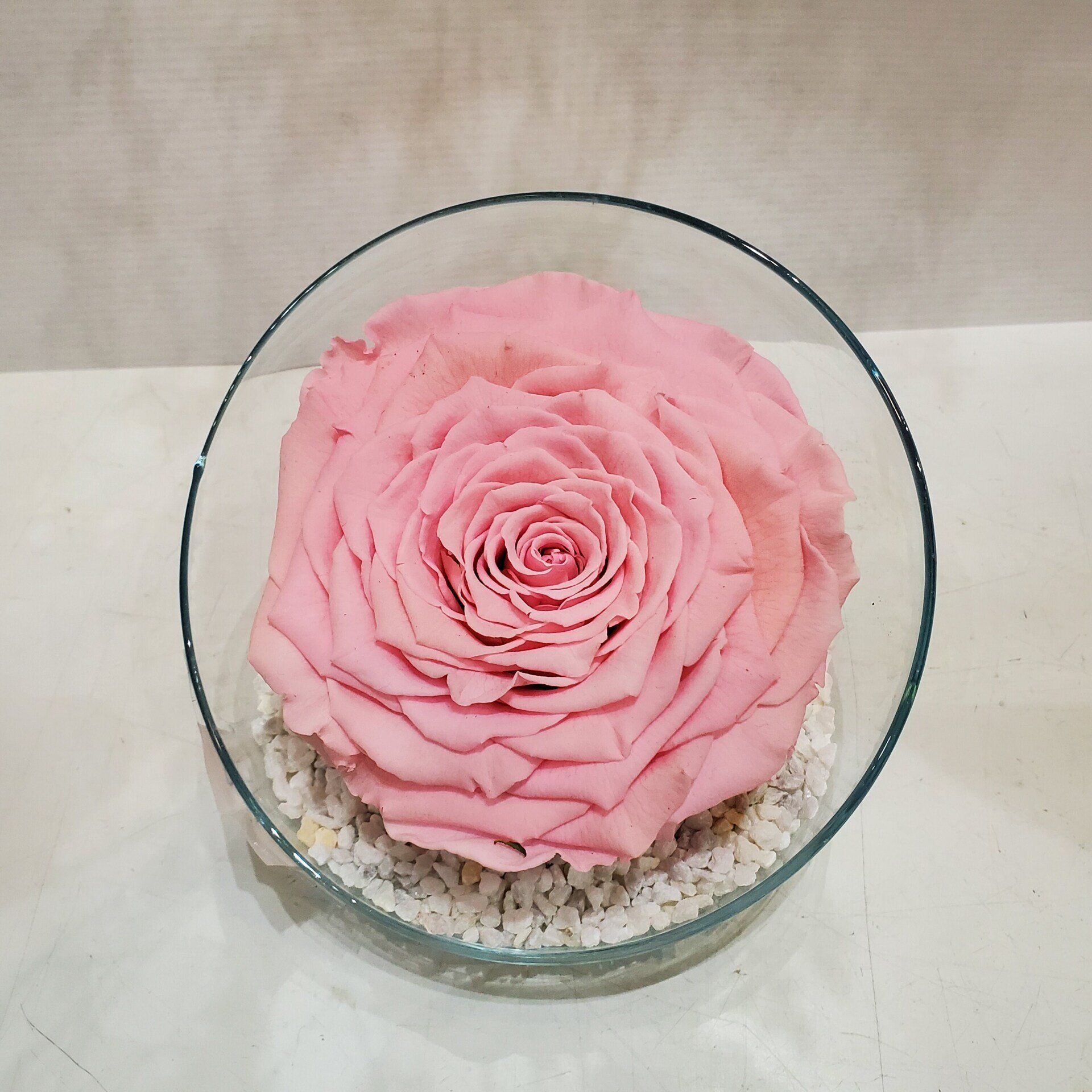 Vente de roses éternelles à la boutique de Boulogne-Billancourt