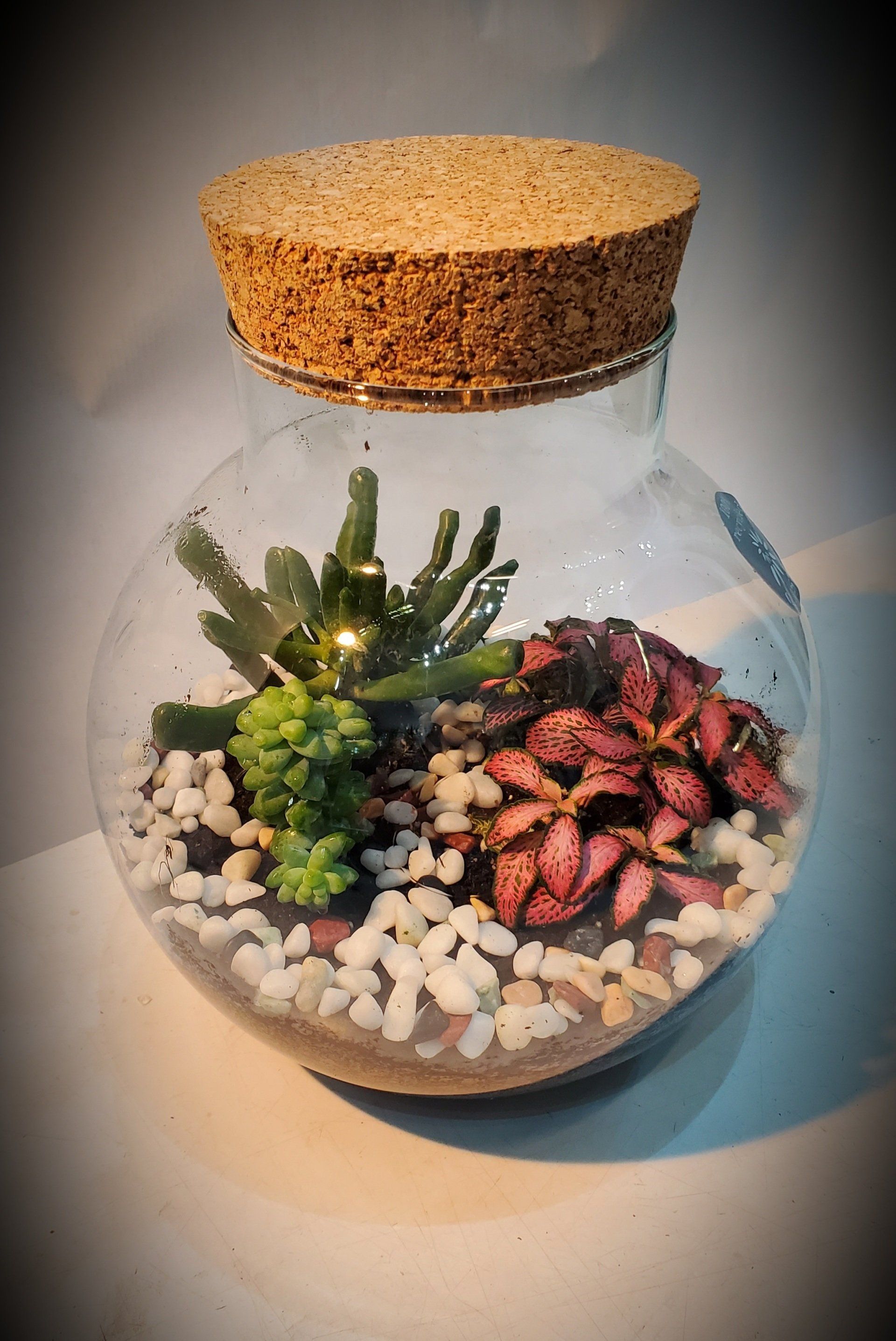 Vente de roses éternelles à la boutique de Boulogne-Billancourt