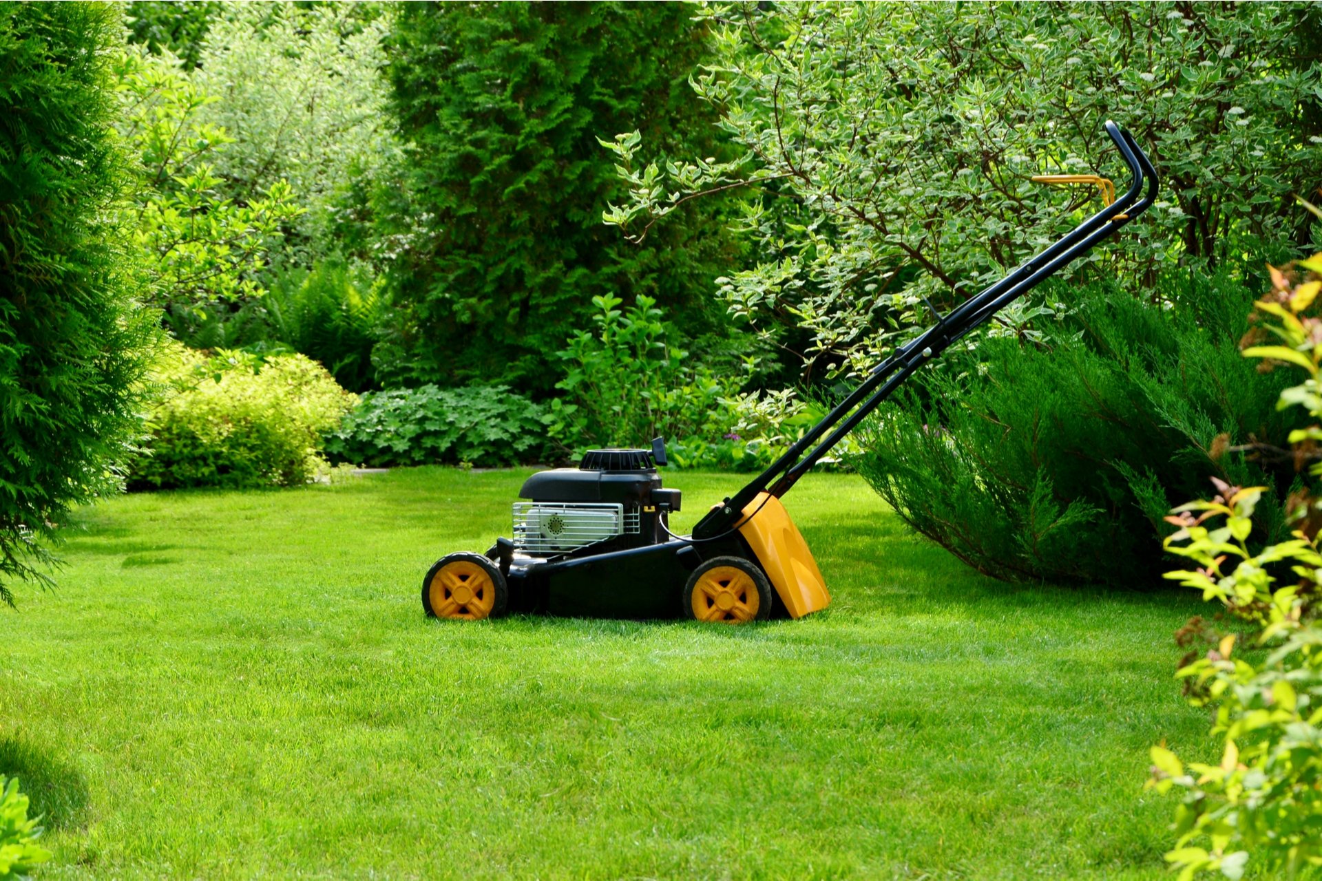 Hans Geerts in Heist-op-den-Berg | Hoveniersbedrijf