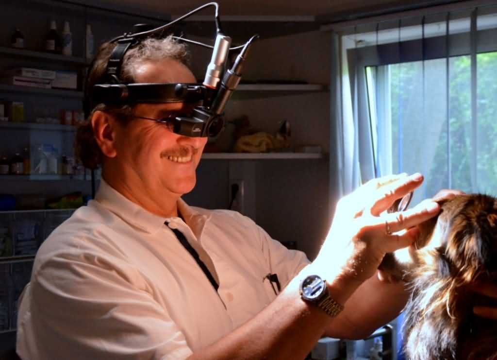 Tierärztliche Gemeinschaftspraxis Dr. Reinhard Schramm und Dr. Wolfgang Eisele in Erlangen ...