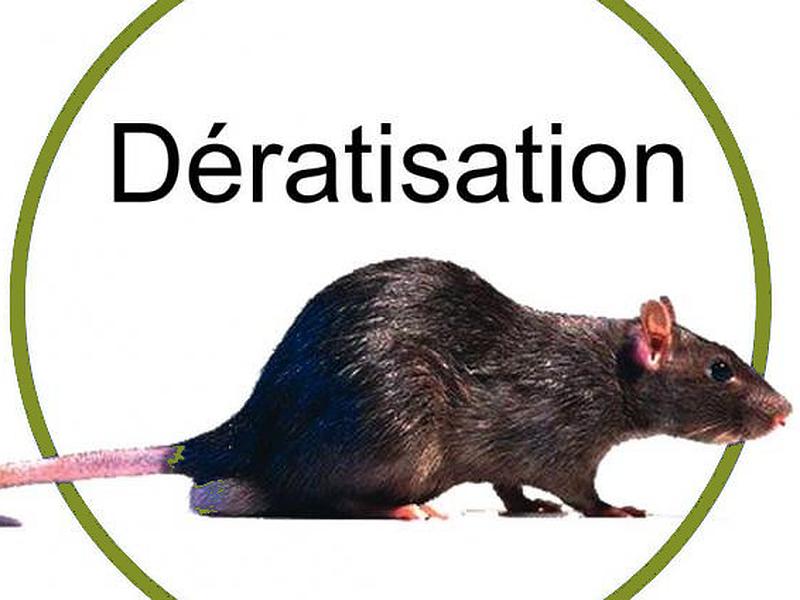 Stop Nuisibles 31, dératiseur, désinsectisation à Toulouse