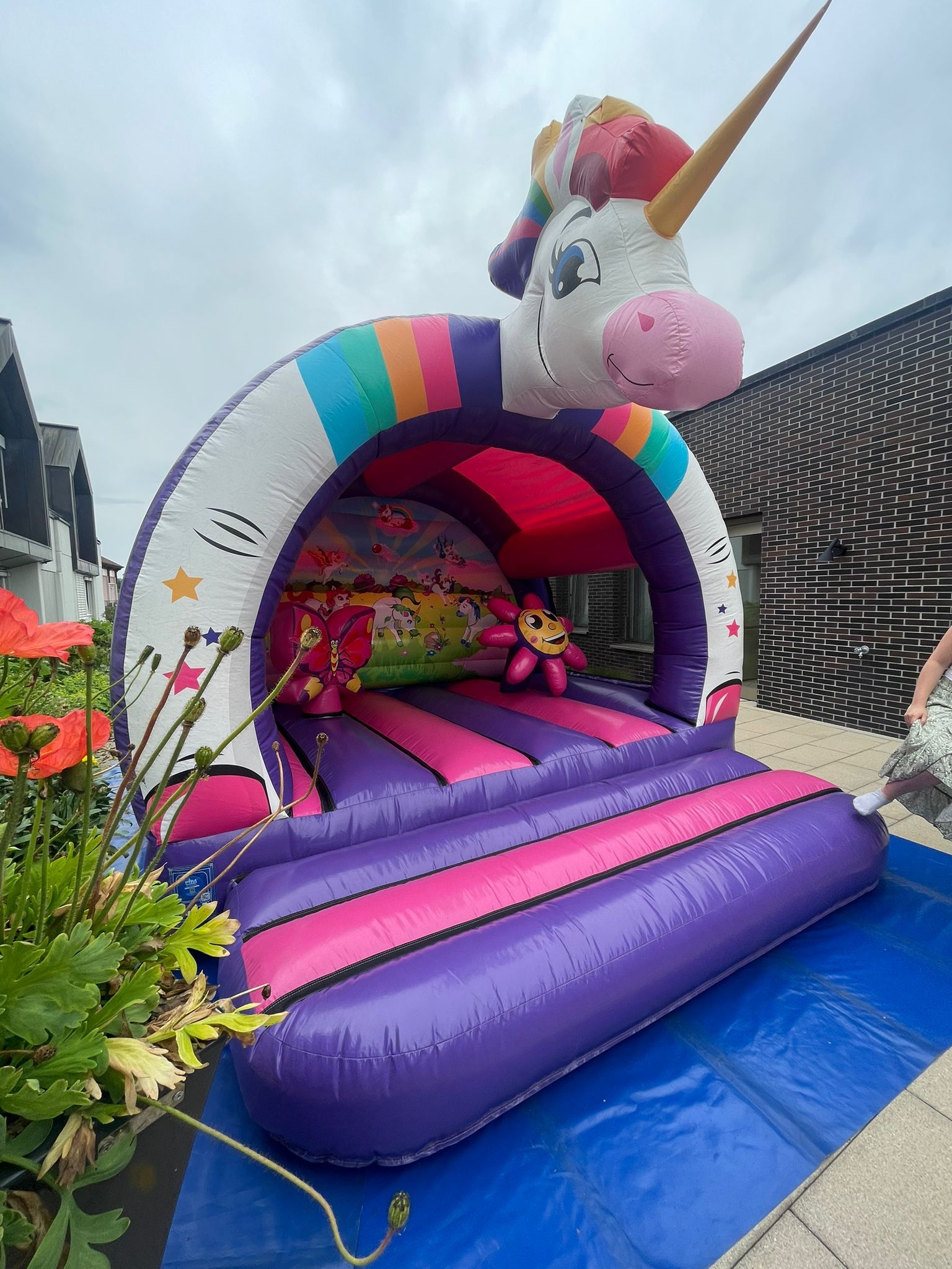 titleMISTIGRI ,spectacles, spectacles de magie, spectacles de clown ...