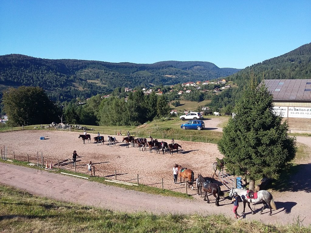 La Jumenterie Saint Maurice Sur Moselle