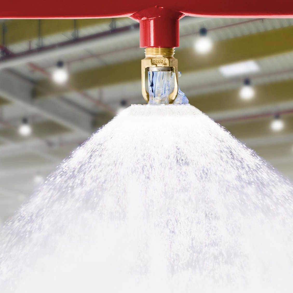 Fire Protection System