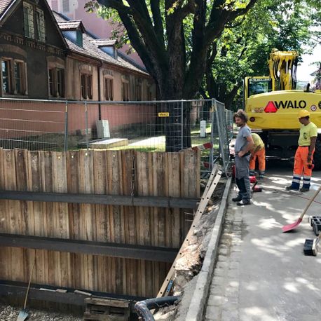 Wurzelschutz - Baumpflege Simon Basel