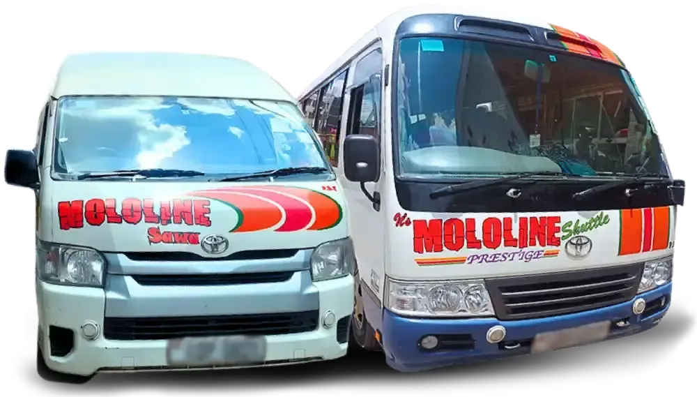 Trusted Travel & Logistics Services in Kenya | Mololine