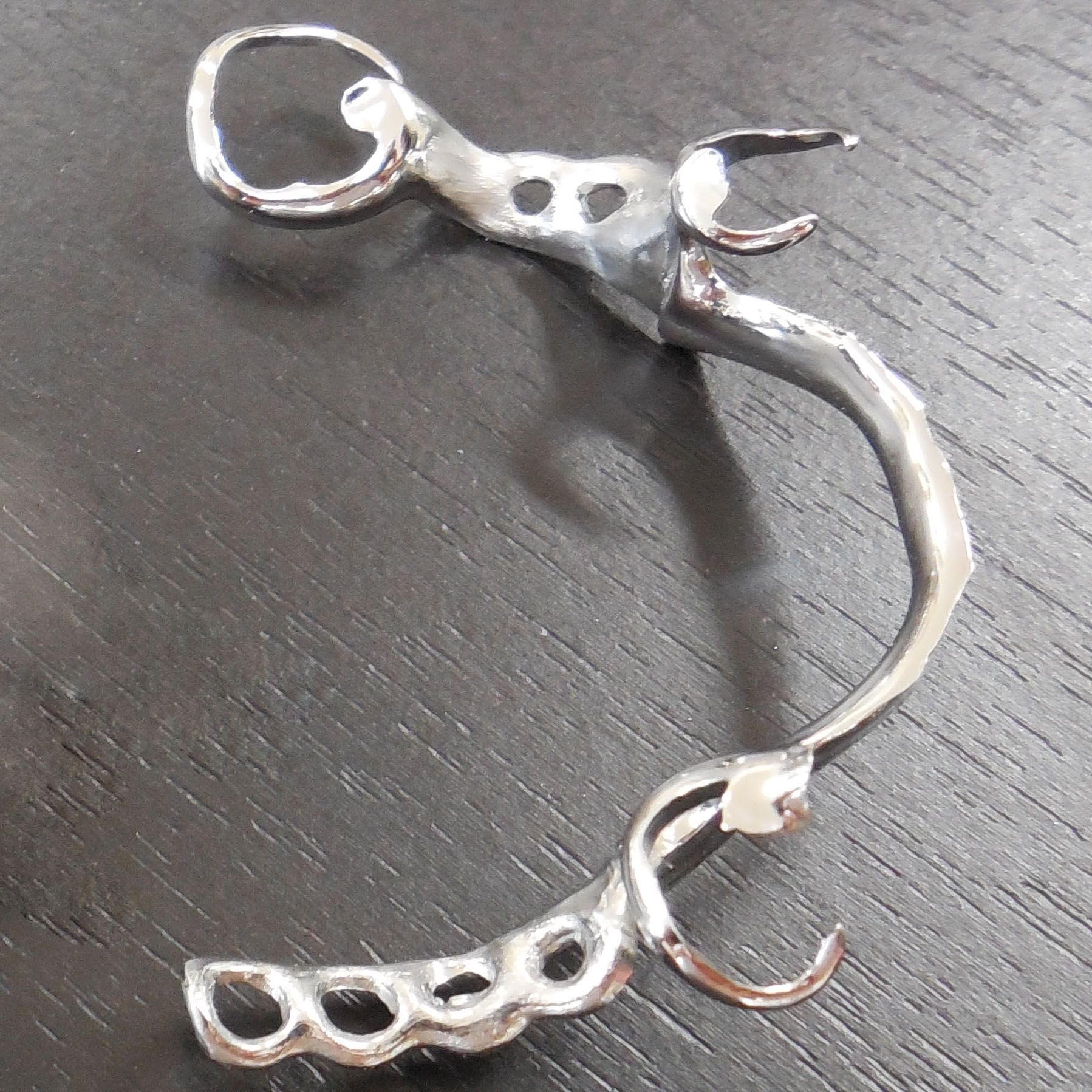 Laboratoire dentaire Chantal Clerc - Prothèses amovibles-stellites